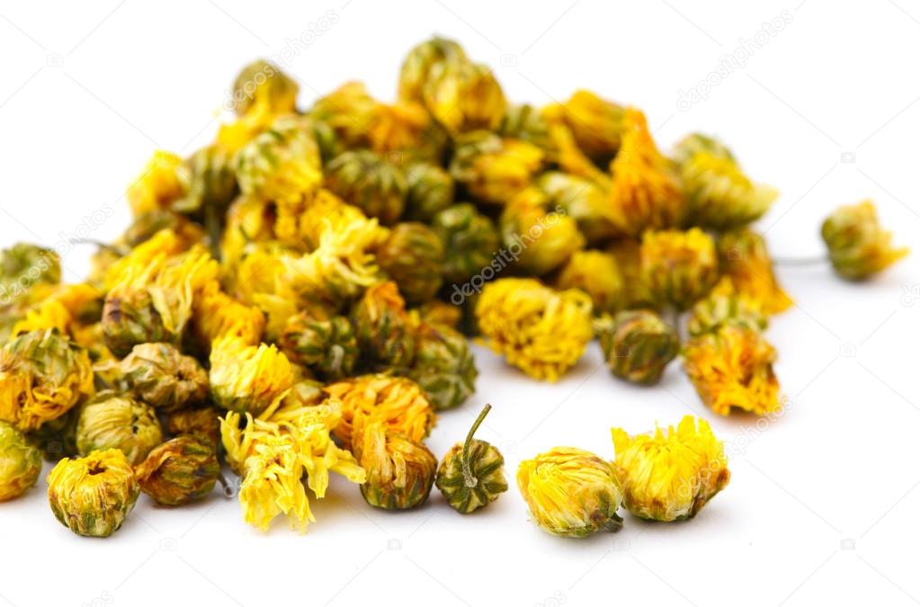 Flor de manzanilla seca aislada sobre fondo blanco 2024