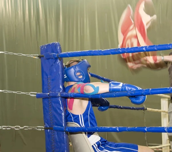 Boxing referee Stock Photos, Royalty Free Boxing referee Images ...