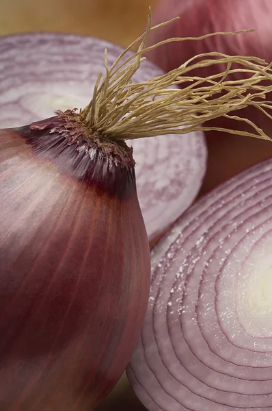 Close View Red Onion — Stock Photo © YAYImages #259566666