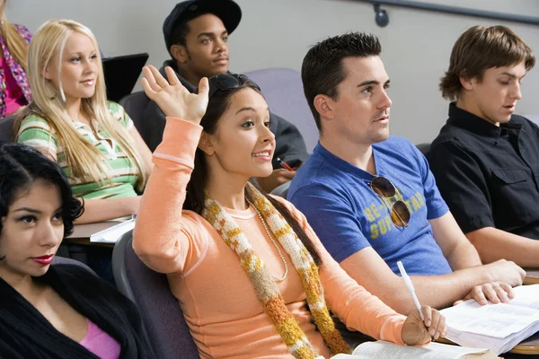 Adult Raising Hand In Class