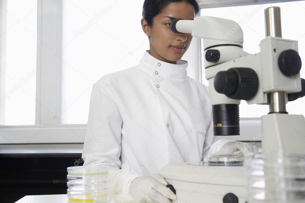 Female lab worker adjusting microscope Stock Photo by ©londondeposit ...