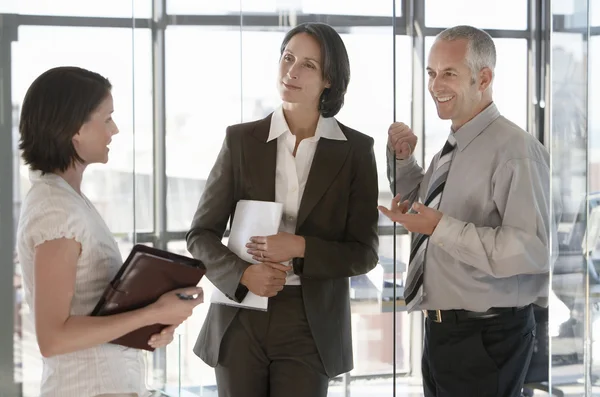 Three office Stock Photos, Royalty Free Three office Images | Depositphotos