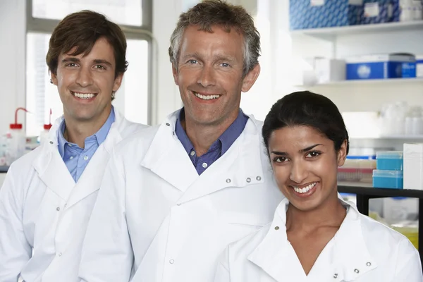 Lab workers Stock Photos, Royalty Free Lab workers Images | Depositphotos