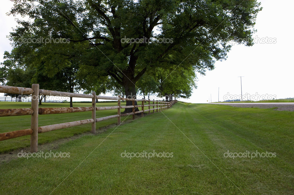 Fence along field Stock Photo by ©londondeposit 34002415