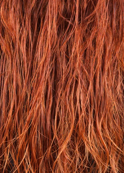 Red hair texture Stock Photos, Royalty Free Red hair texture Images ...