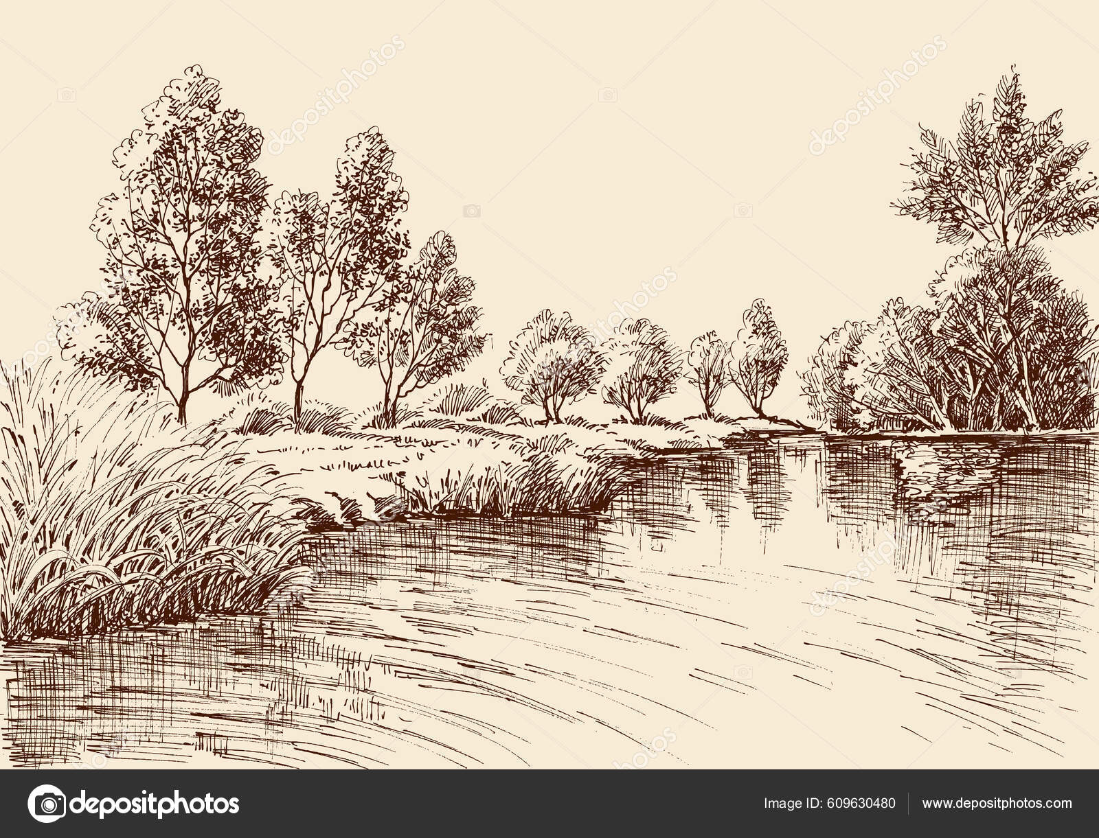 Aliran Sungai Dan Latar Belakang Hutan Relaksasi Gambar Alam Vektor ...