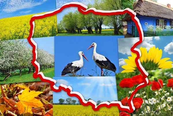 Poland collage Stock Photos, Royalty Free Poland collage Images ...