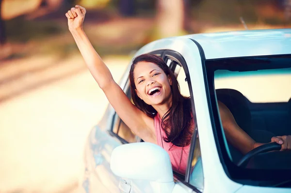 Happy driver Stock Photos, Royalty Free Happy driver Images ...
