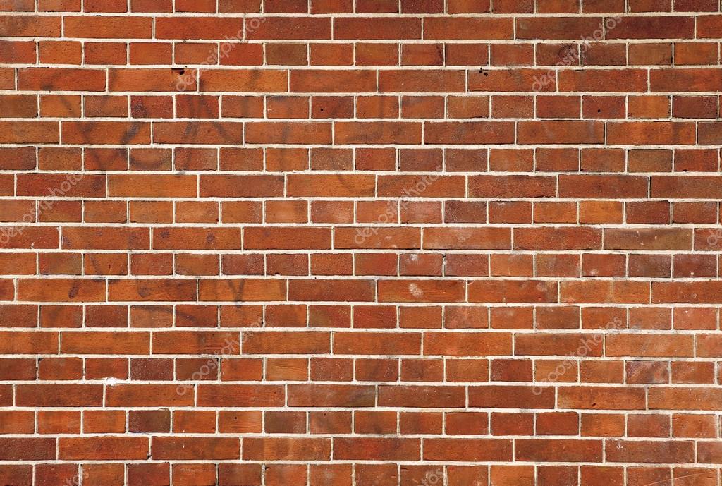 Muro de ladrillo 2024