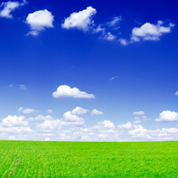 Plain field Stock Photos, Royalty Free Plain field Images | Depositphotos®