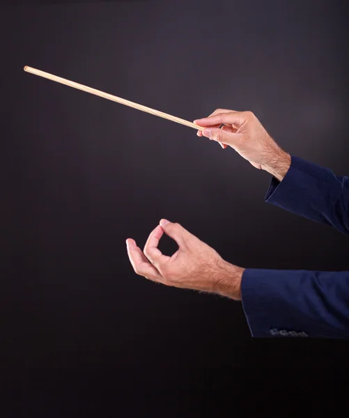 Orchestra conductor hands Stock Photo by ©belchonock 116575454
