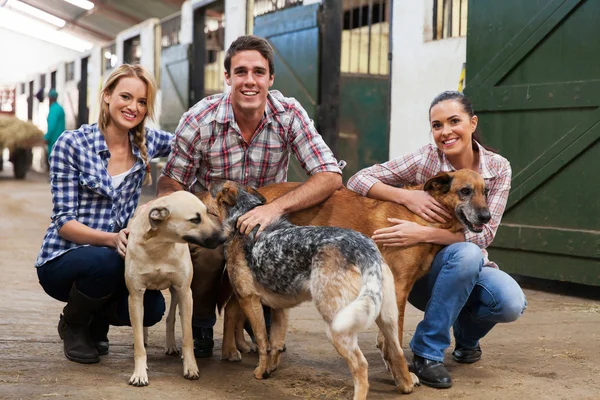 Rural dogs Stock Photos, Royalty Free Rural dogs Images | Depositphotos