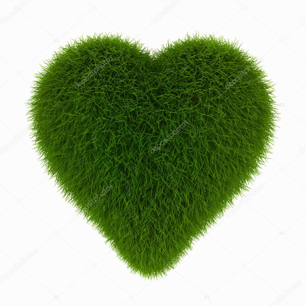 Grass heart — Stock Photo © montego #15753461
