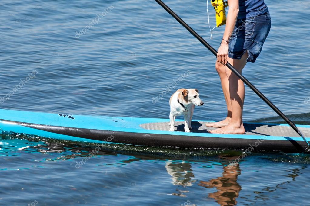 Paddle Surfing — Stock Photo © shopartgallery #26060787