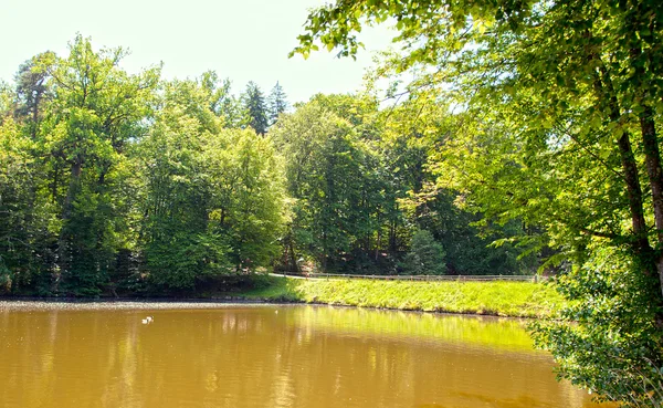 Sunny river Stock Photos, Royalty Free Sunny river Images | Depositphotos