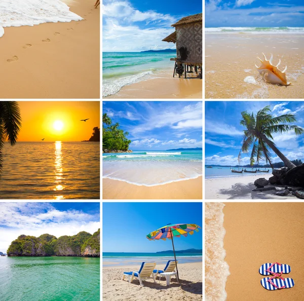 ᐈ Beach collage stock images, Royalty Free beaches wallpaper pictures ...