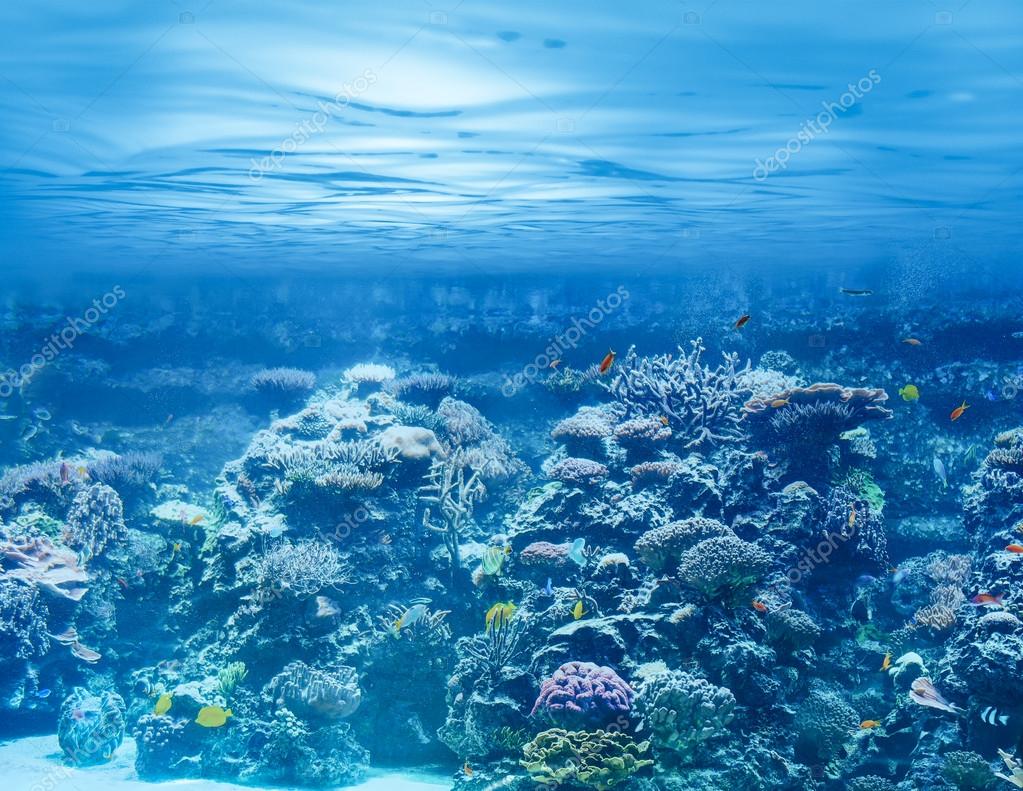 zee of Oceaan onderwater met haai en verzonken schatten schip ...