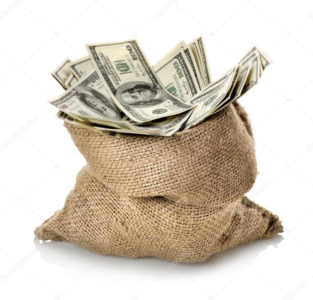 Dollar in the bag — Stock Photo © Givaga #21332987