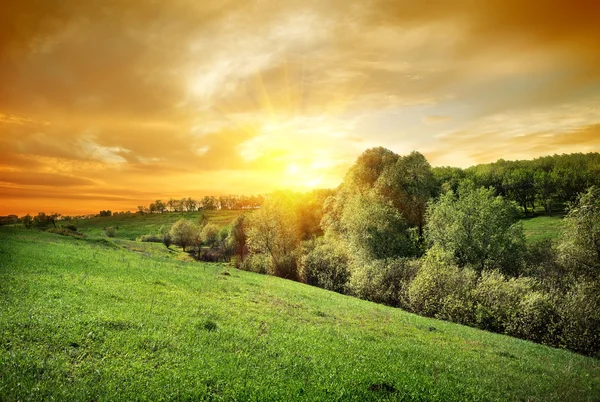 Sunrise over field Stock Photos, Royalty Free Sunrise over field Images ...