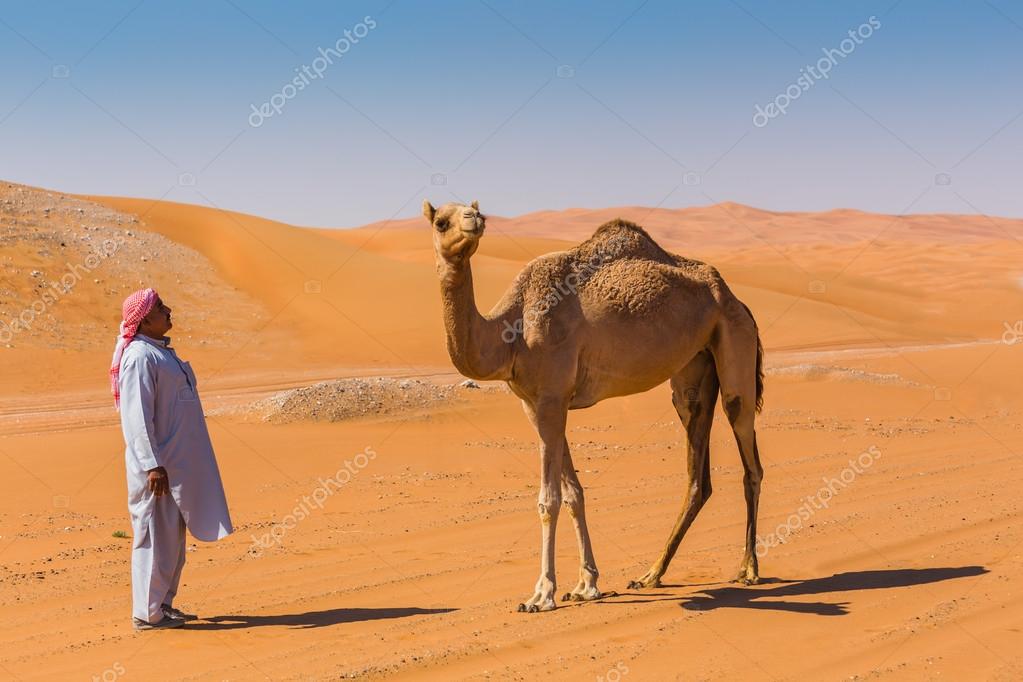 Desert landscape with camel – Stock Editorial Photo © alan64 #44185495