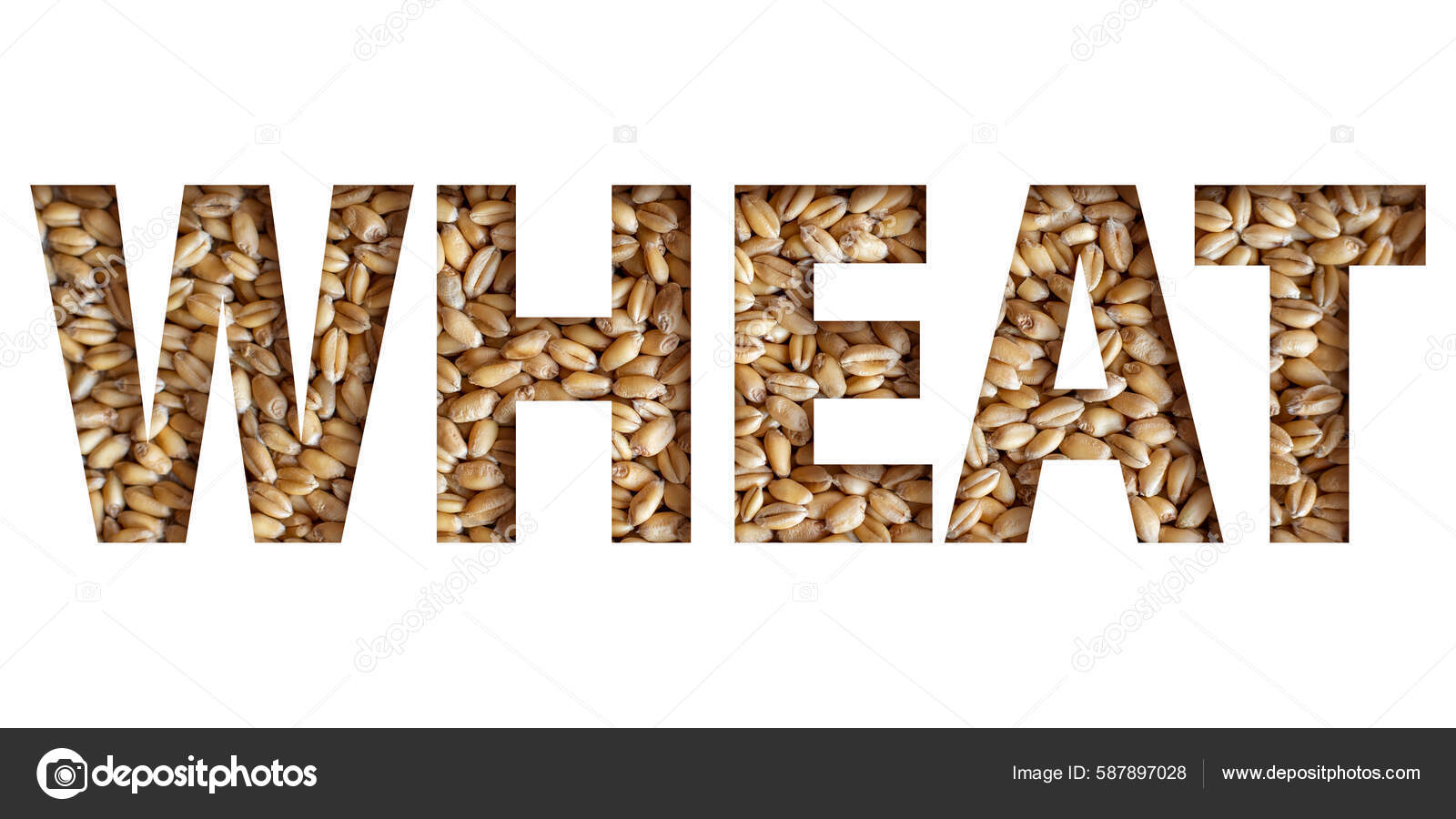 Wheat Word Seed White Background Stock Photo by ©adam_r 587897028