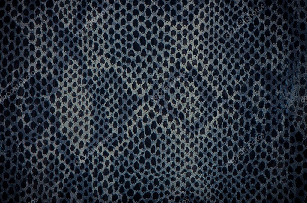 Blue python snake skin Stock Photo by ©homydesign 12669380