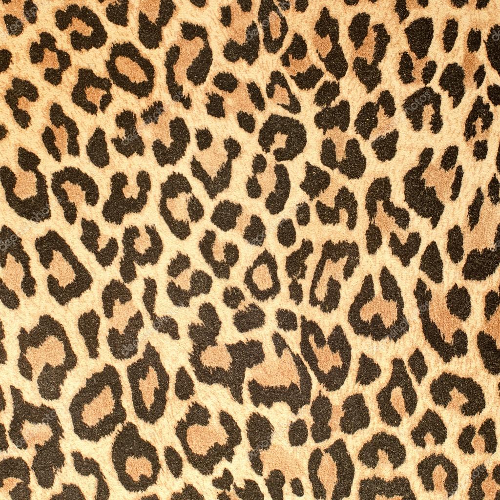 Leopard leather pattern texture closeup — Stock Photo © homydesign ...