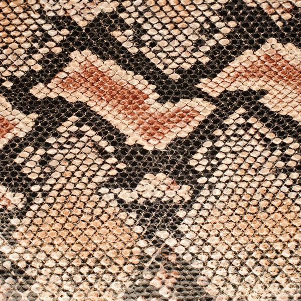 Snake skin pattern — Stock Photo © S_Razvodovskij #4628498