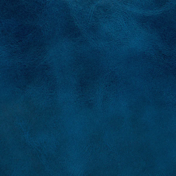 Blue leather Stock Photos, Royalty Free Blue leather Images | Depositphotos