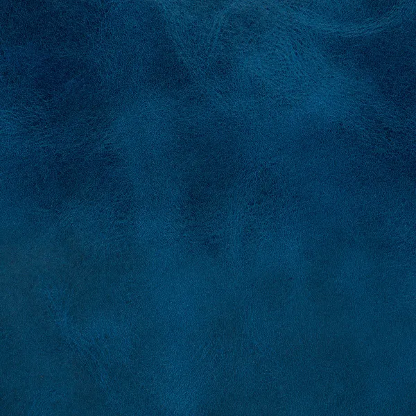 Blue leather Stock Photos, Royalty Free Blue leather Images | Depositphotos
