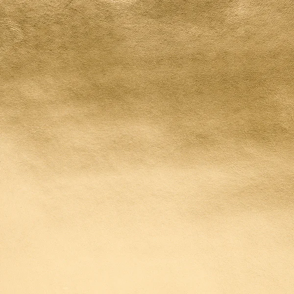Cuero dorado — Foto de stock #33838423 © homydesign