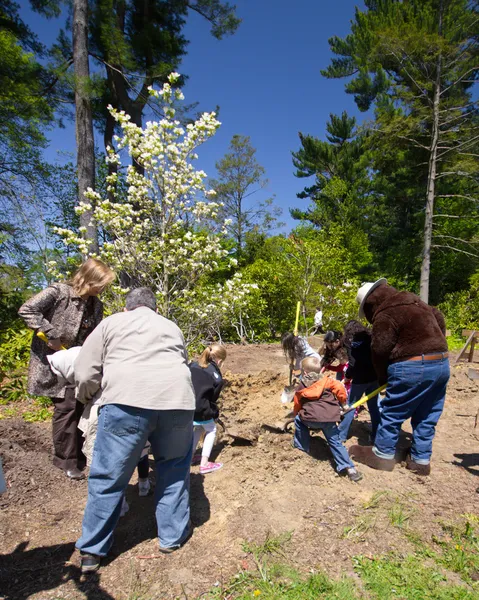 Contributing Stock Photos, Royalty Free Contributing Images | Depositphotos