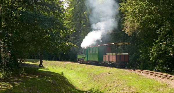 Vapor steam railway Stock Photos, Royalty Free Vapor steam railway ...