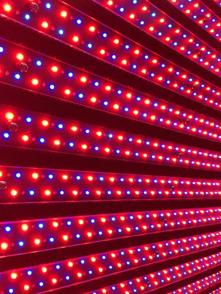 Creative background wallpaper - Stock Image - Everypixel