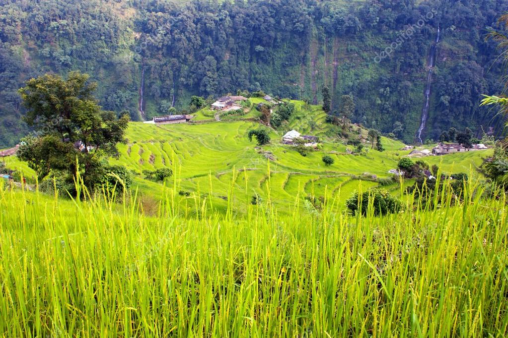 Rice field and village in Annapurna nountains - Nepal — Stock Photo ...