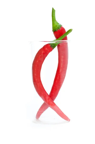 Two red chilli peppers — Stock Photo © yashabaker #12465309