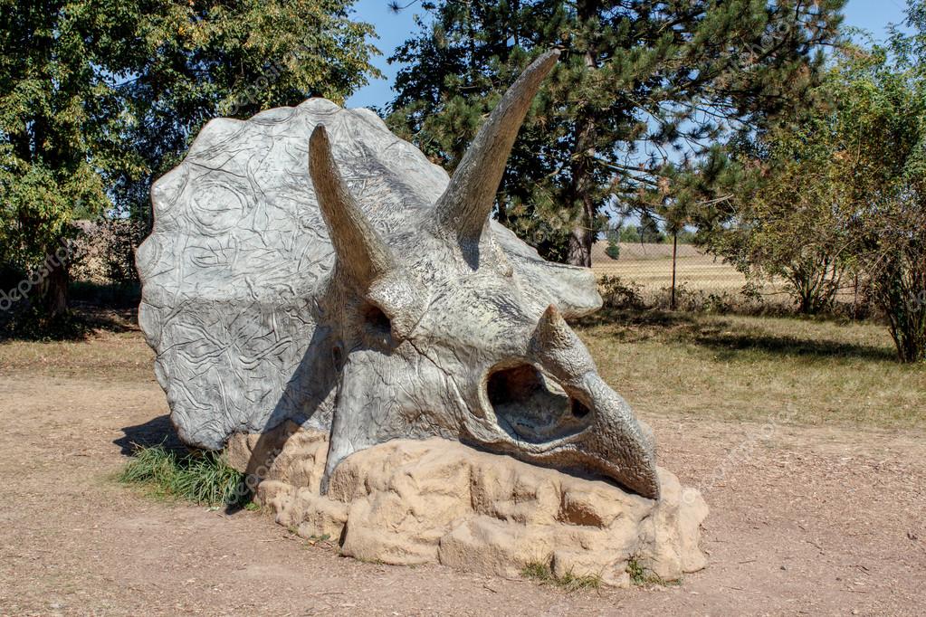 Triceratops Fossil skeleton over natural background Stock Photo by ... Triceratops Fossil skeleton over natural background Stock Photo by ...