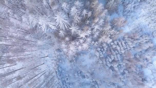 381,527 Snow and winter Videos, Royalty-free Stock Snow and winter Footage | Depositphotos