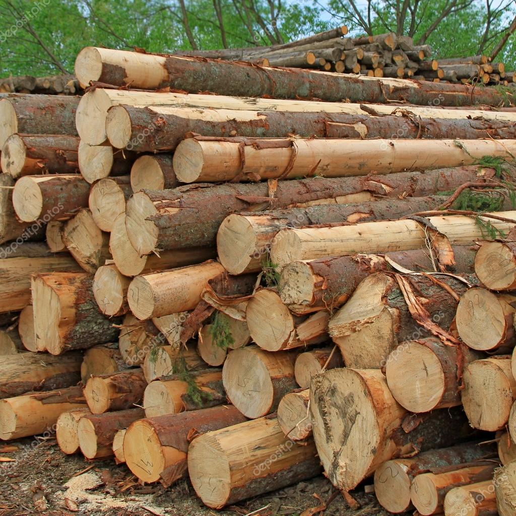 Wood preparation — Stock Photo © smereka #22163597