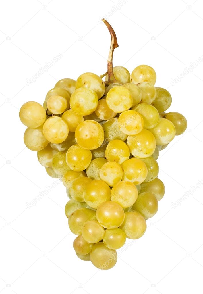 Uva moscatel: fotografía de stock © bergamont #49368821 | Depositphotos