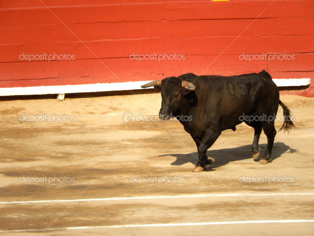 Bull inside the arena. Spanish bull — Stock Photo © alexmillos #35853857
