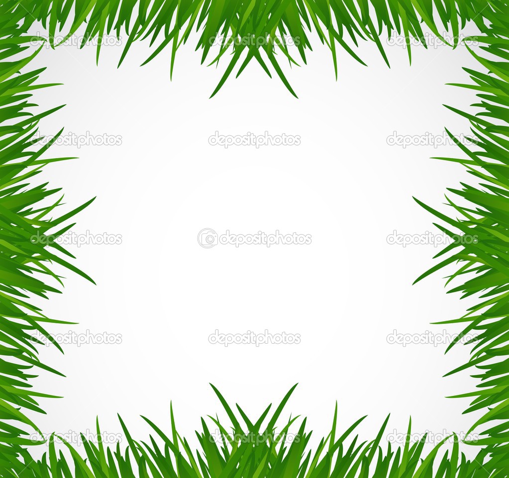 Green grass border illustration design — Stock Photo © alexmillos #46259533