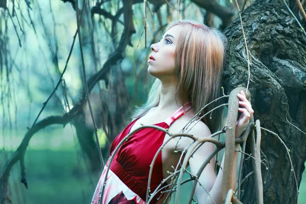 Fae woman Stock Photos, Royalty Free Fae woman Images | Depositphotos