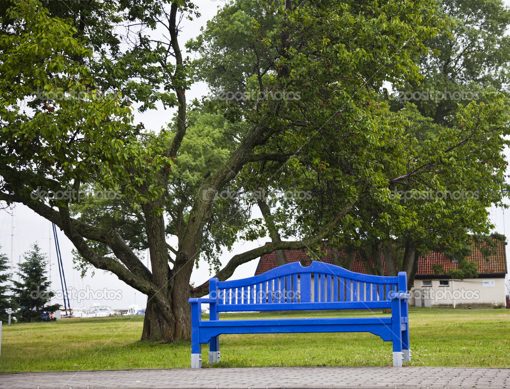 Blue park bench under a magnificent oak — Stock Photo © mahoks #18529871