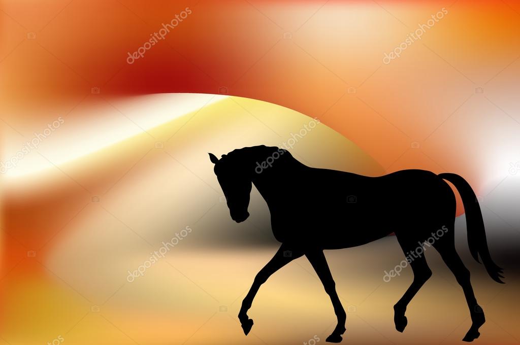 Beautiful black horse silhouette Stock Vector Image by ©Larisa13 #30655433