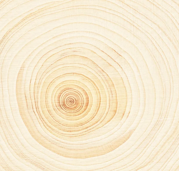 Texture of modern wood circle rings Stock Photo by ©sebastiangauert ...