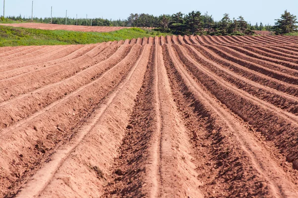 Red Soil — Stock Photo © rusty426 #3049097