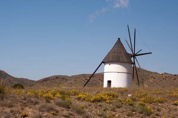 Karoo windmill Stock Photos, Royalty Free Karoo windmill Images ...