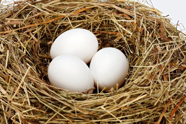 White eggs in nest Stock Photo by ©erierika 41674831