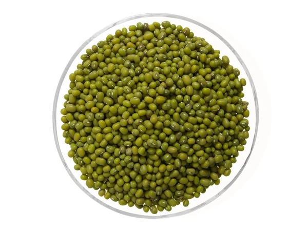 100,000 Zielonej soczewicy Vector Images | Depositphotos